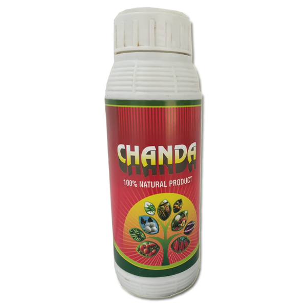 Chanda 500ML – Chaarvi Innovations