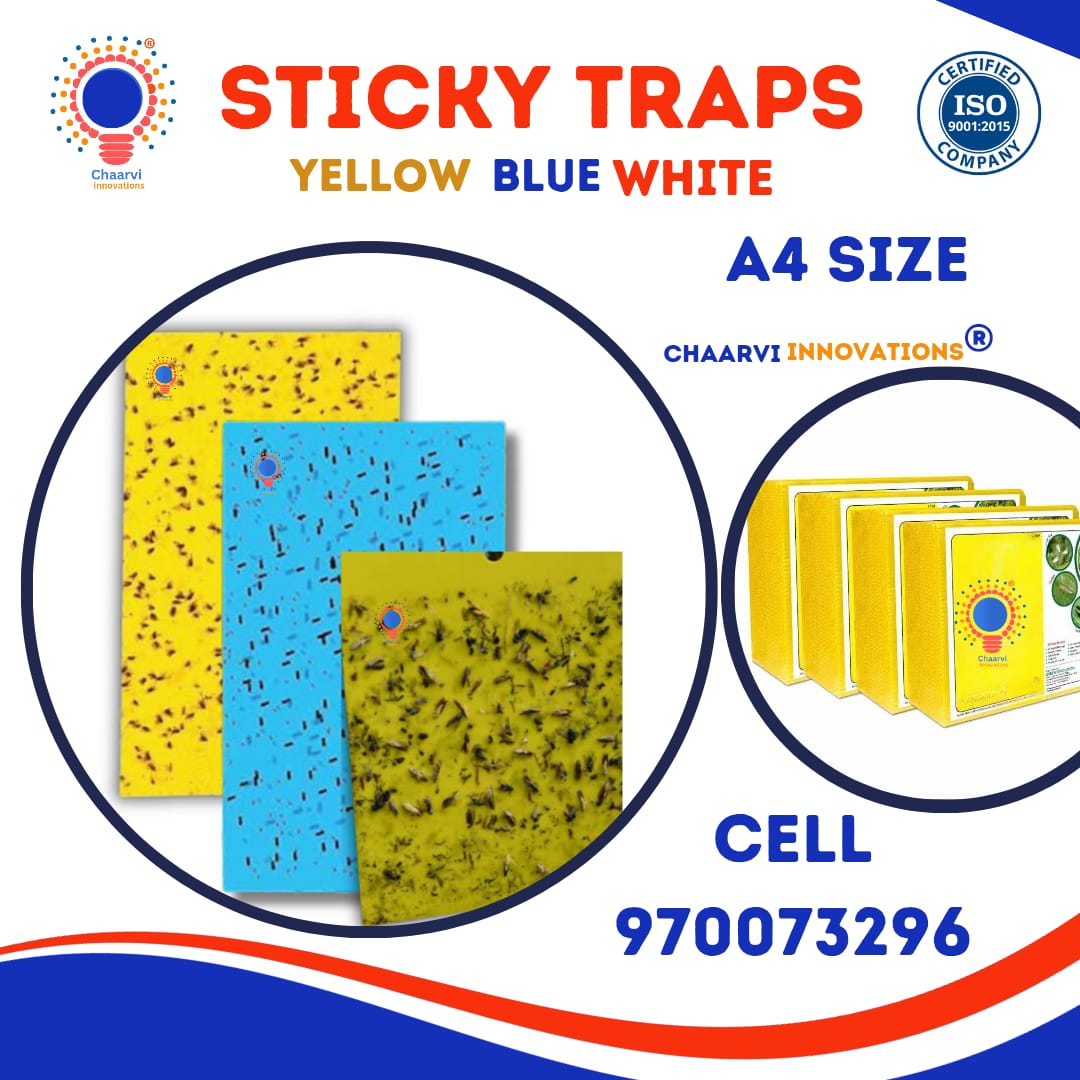 Stick traps for all insects (yellow stick traps, blue stick traps ...
